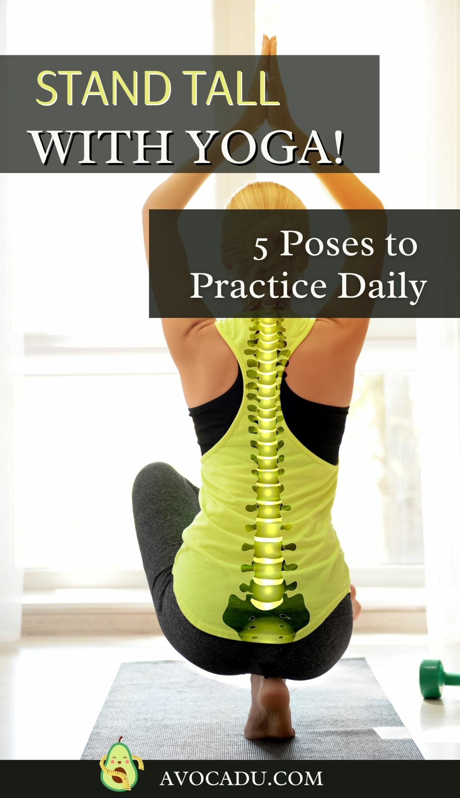 Yoga for Good Posture: Top 5 Poses for Better Alignment