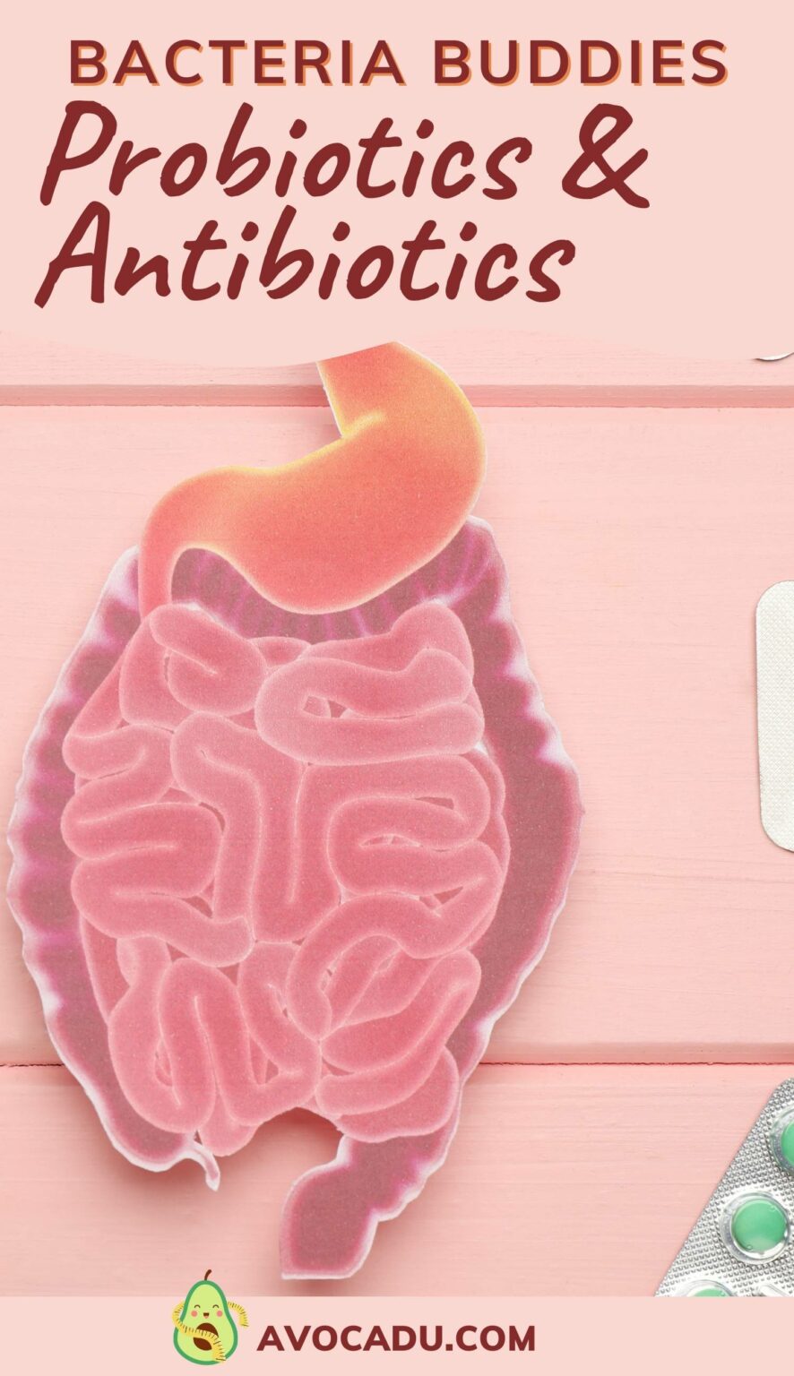 The Importance of Probiotics during Antibiotic Treatment