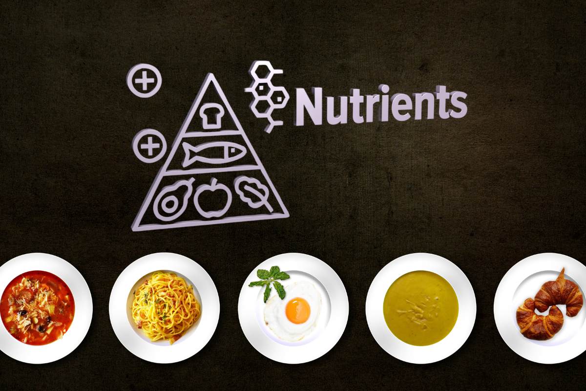 Understanding Calories vs Nutrients: The Key to Sustainable Weight Loss