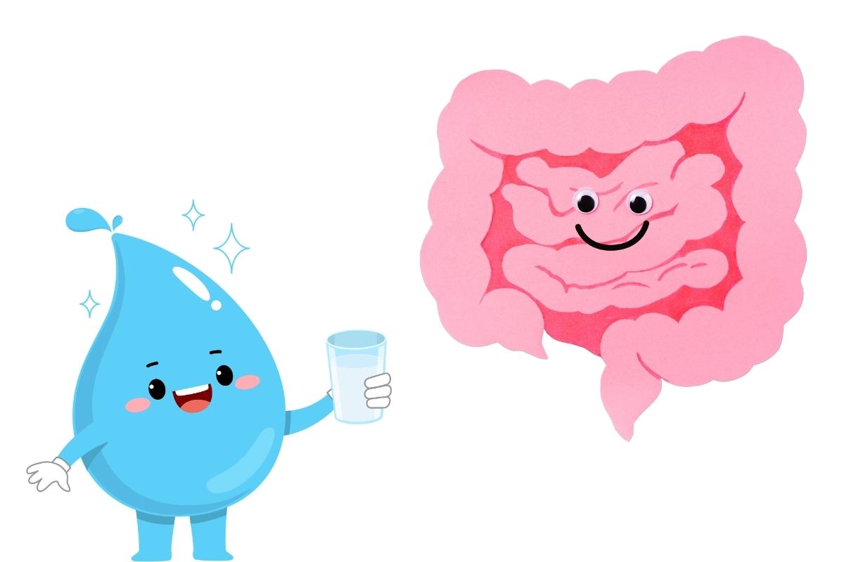 Hydration and Weight Loss: How Much Water Do You Really Need?