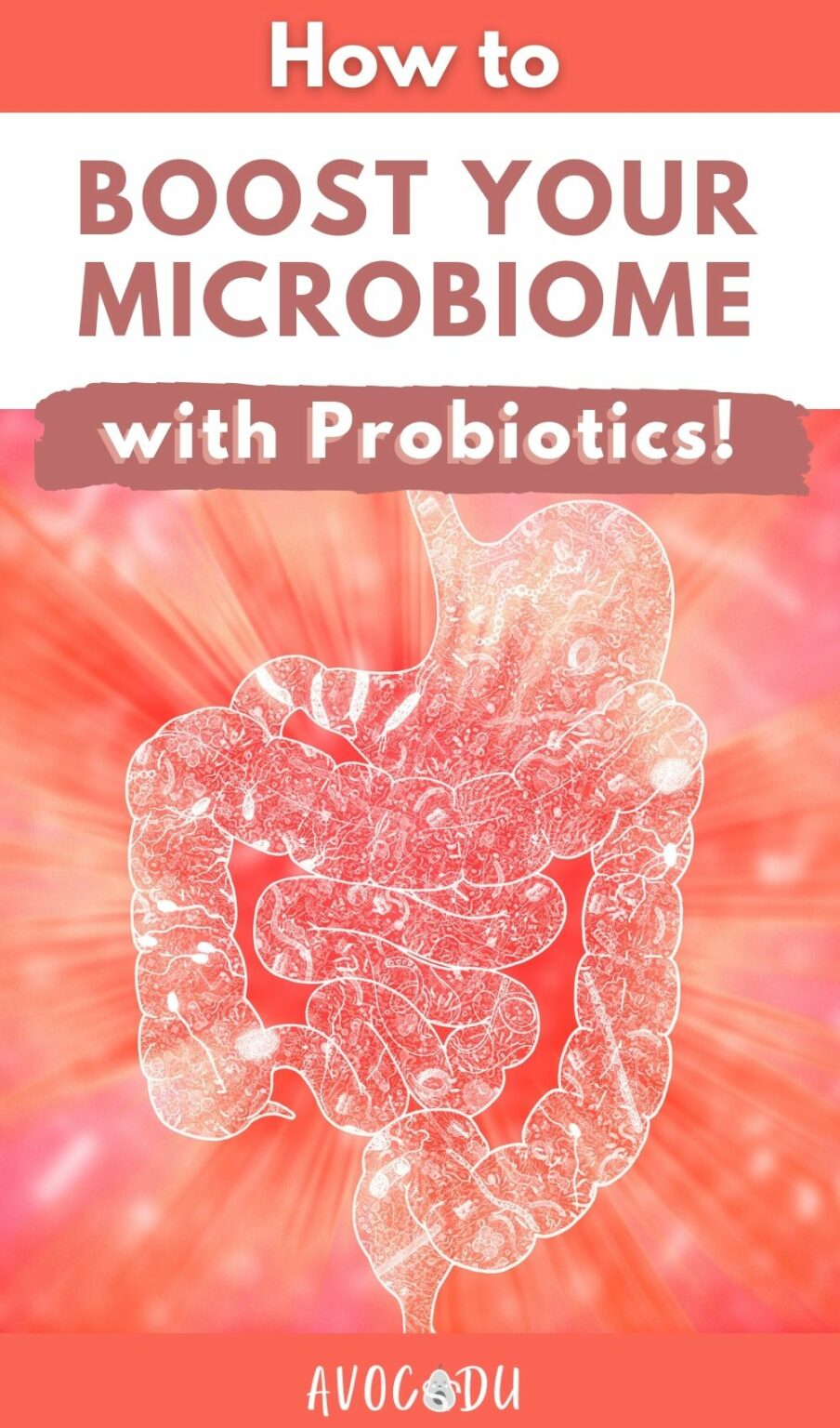 Balancing Your Microbiome with Probiotics