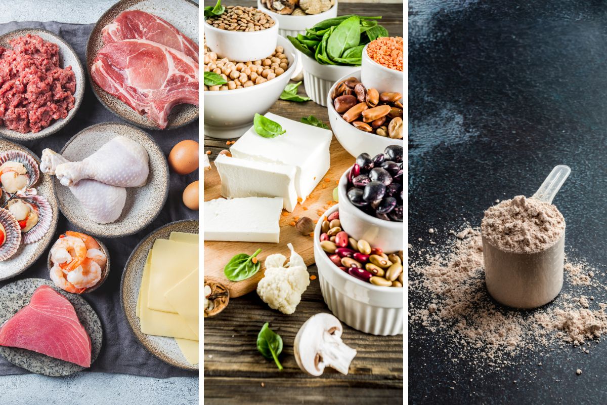 Why You NEED to Prioritize Protein in Your Diet