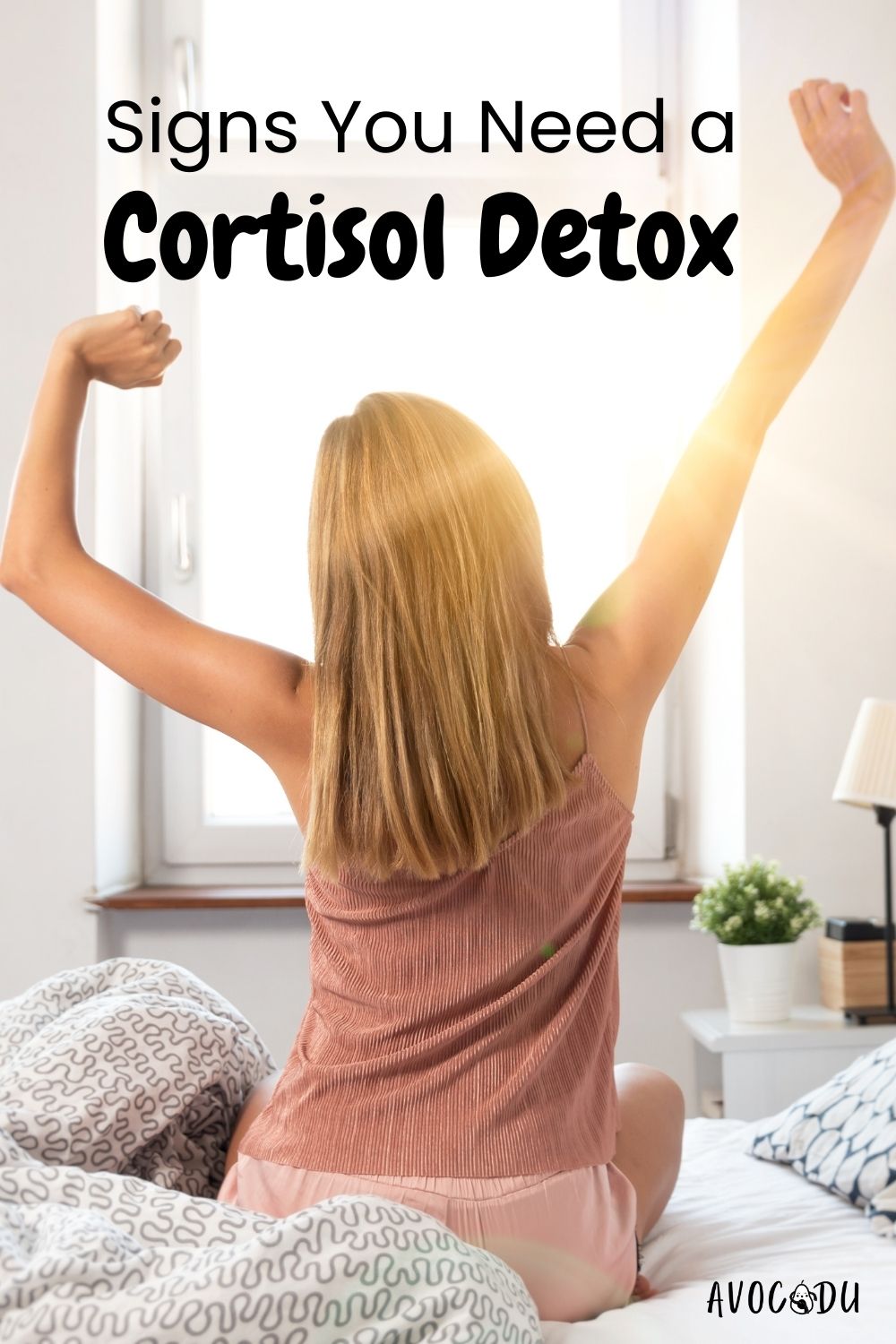 Do You Need a Cortisol Detox?