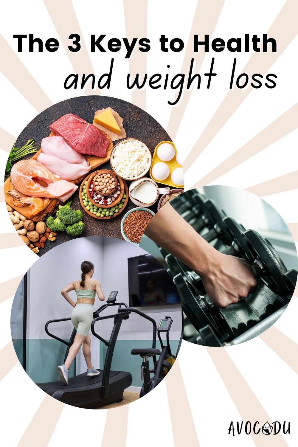 The Balanced Approach to Health & Weight Management for Women