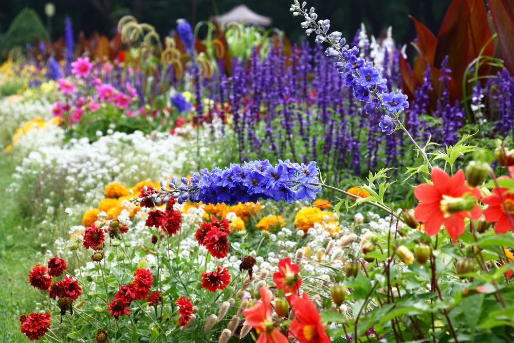 11 Stunning Flower Pairings to Brighten Your Summer Garden