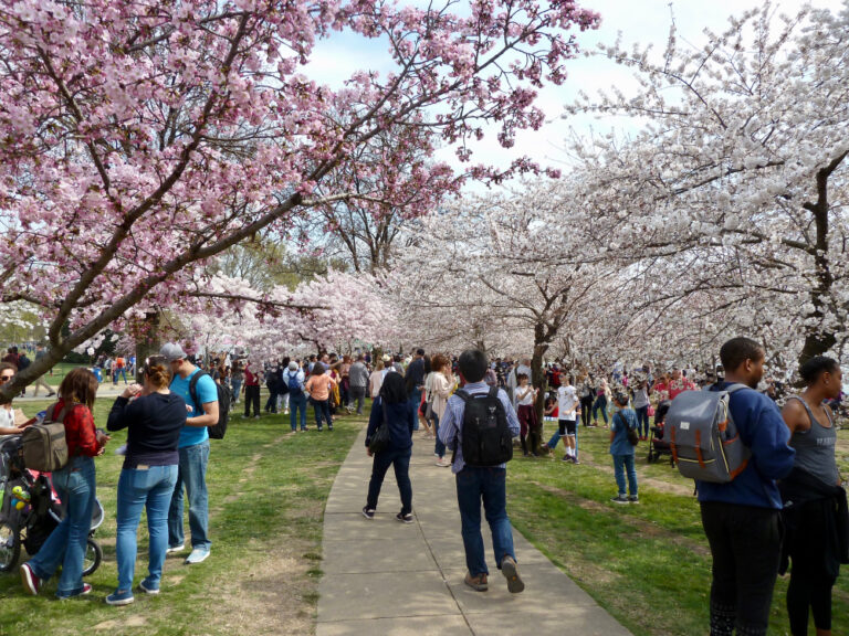 15 Best Festivals and Events to Experience in the US