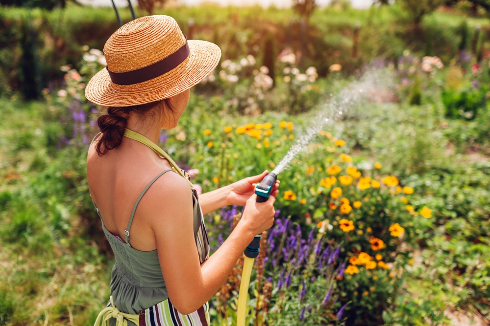 The Importance of Properly Watering Your Garden: How Much and How Often