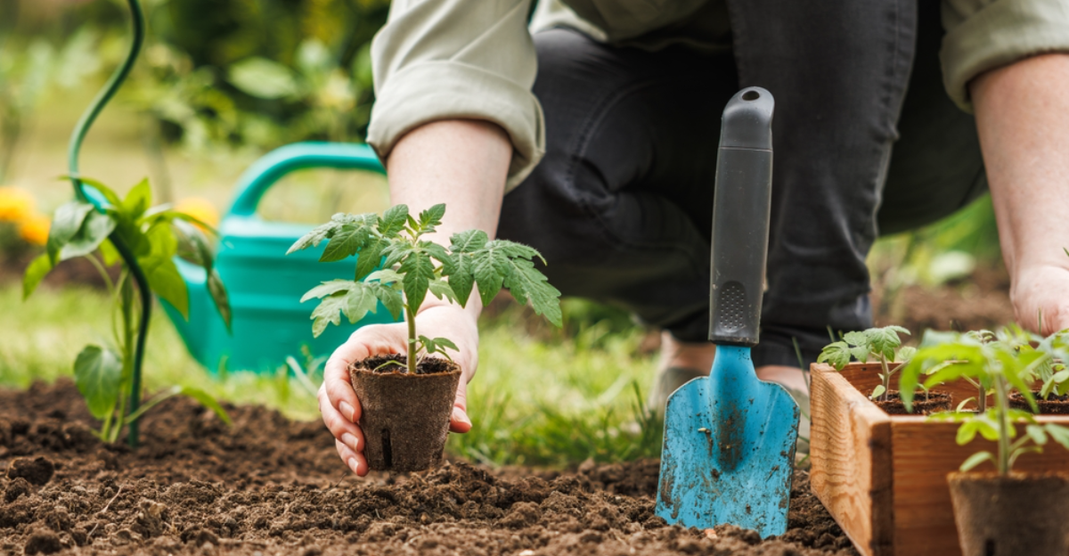 15 Essential Summer Gardening Tips for Beginners