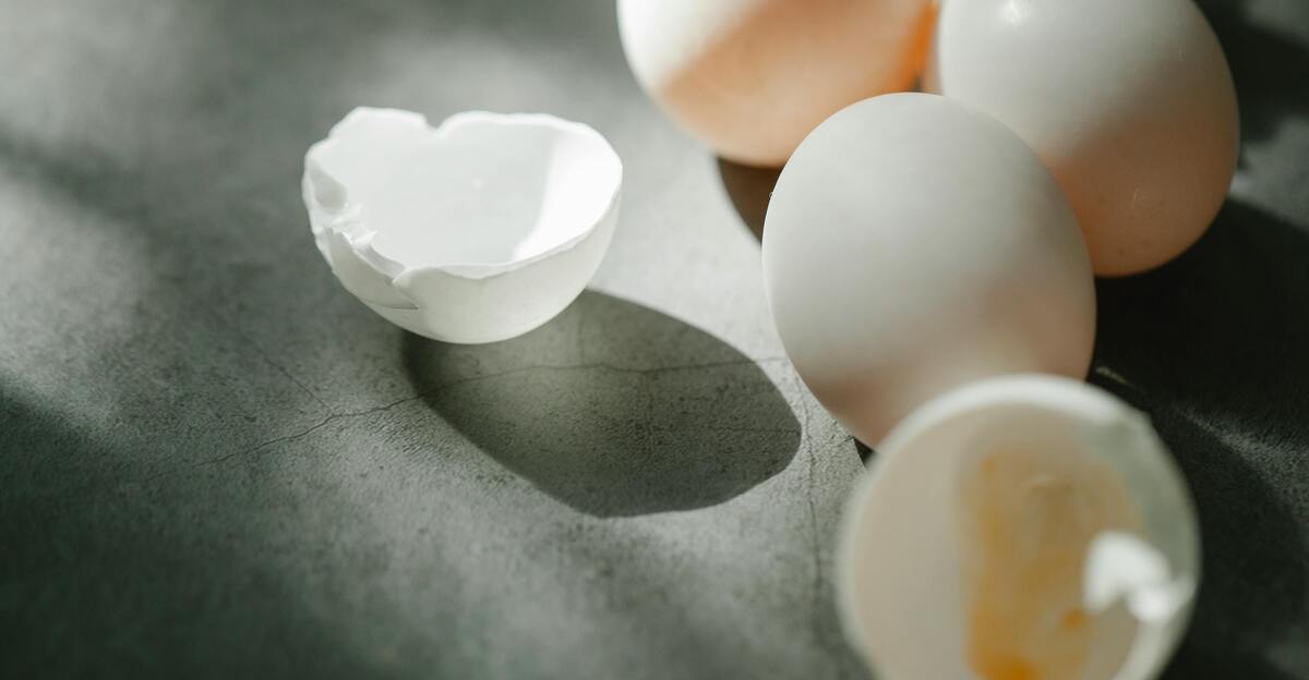 11 Creative and Sustainable Garden Hacks Using Eggshells