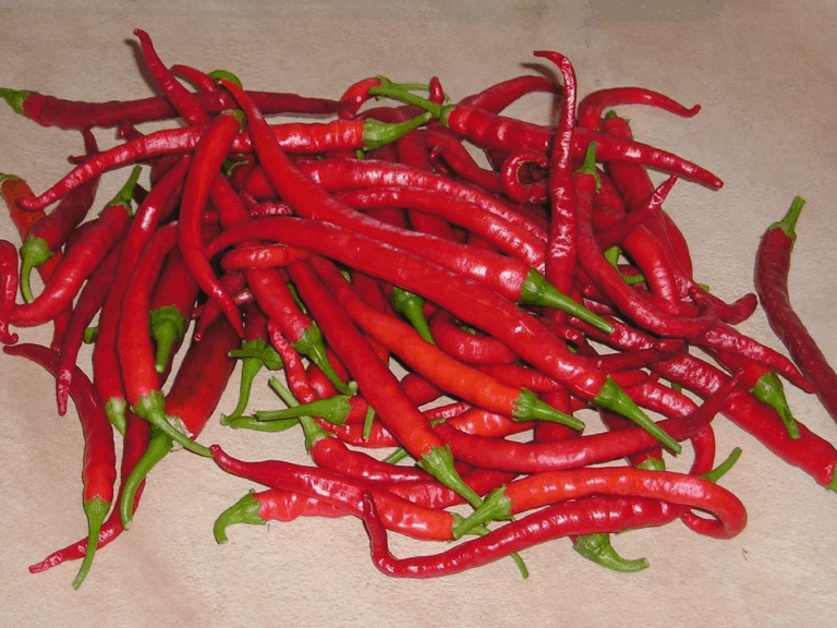 18 Popular Chili Types and Their Best Varieties