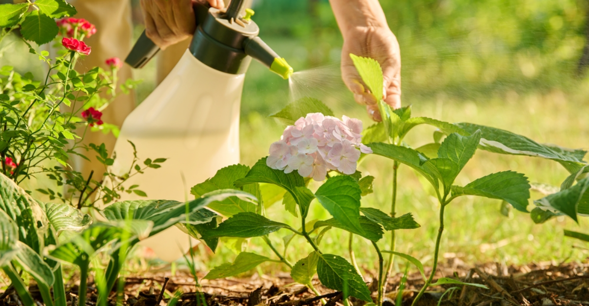 13 Eco-Friendly Garden Sprays You Can Make Yourself