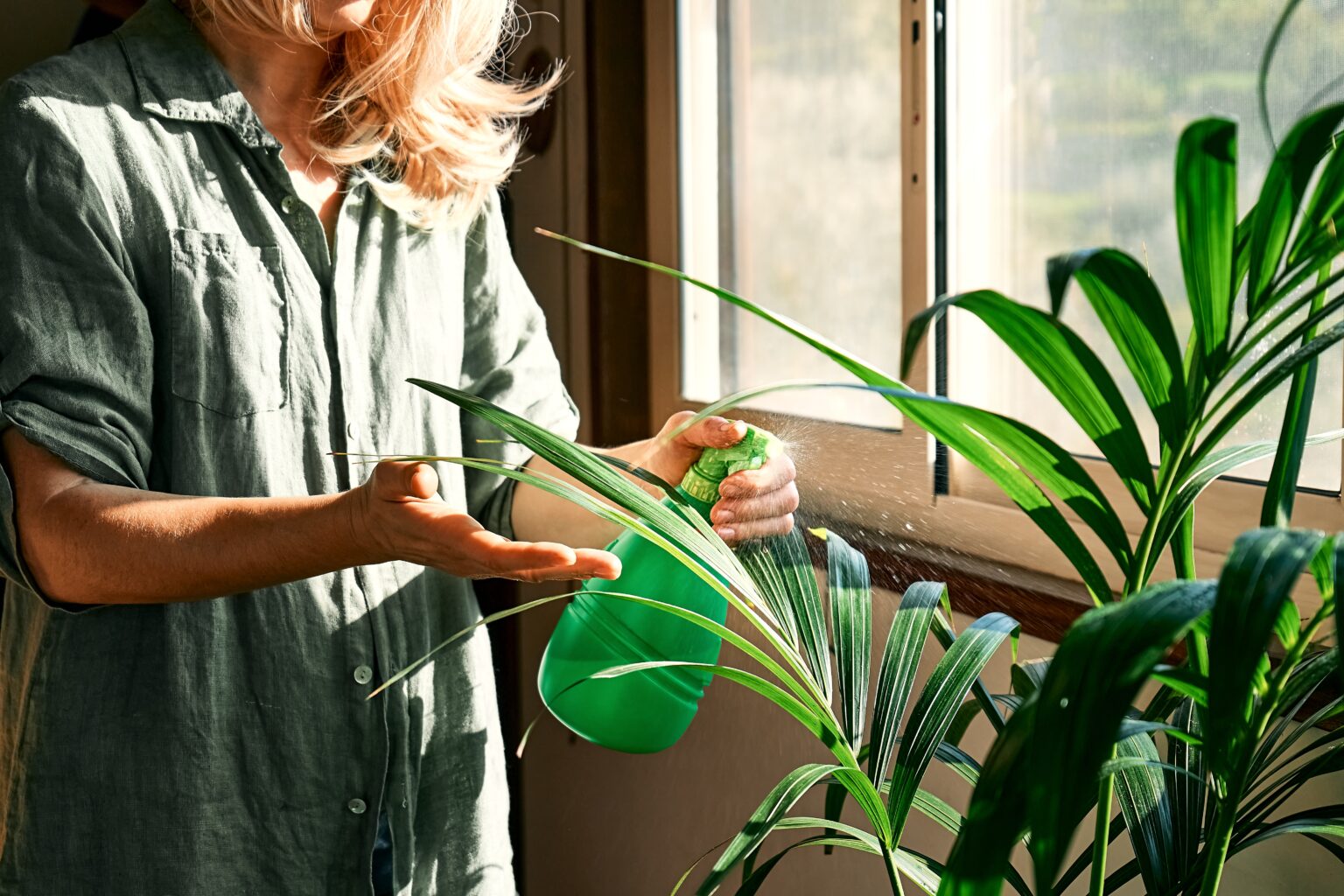15 Things to Do So Your Plants Don’t Wither in the Heat