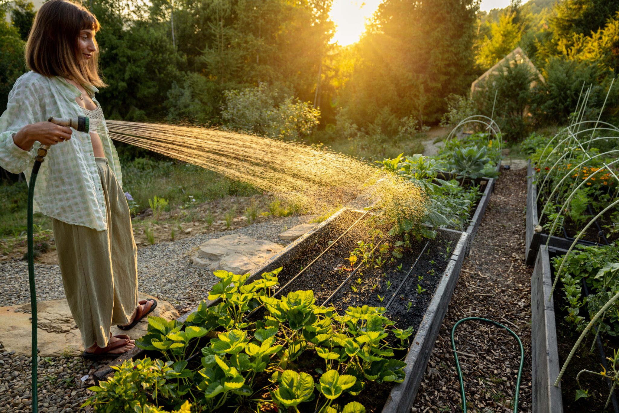 15 Things to Do So Your Plants Don’t Wither in the Heat