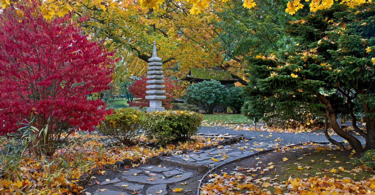 13 Fall Garden Paths and Borders That Look Stunning with Leaves