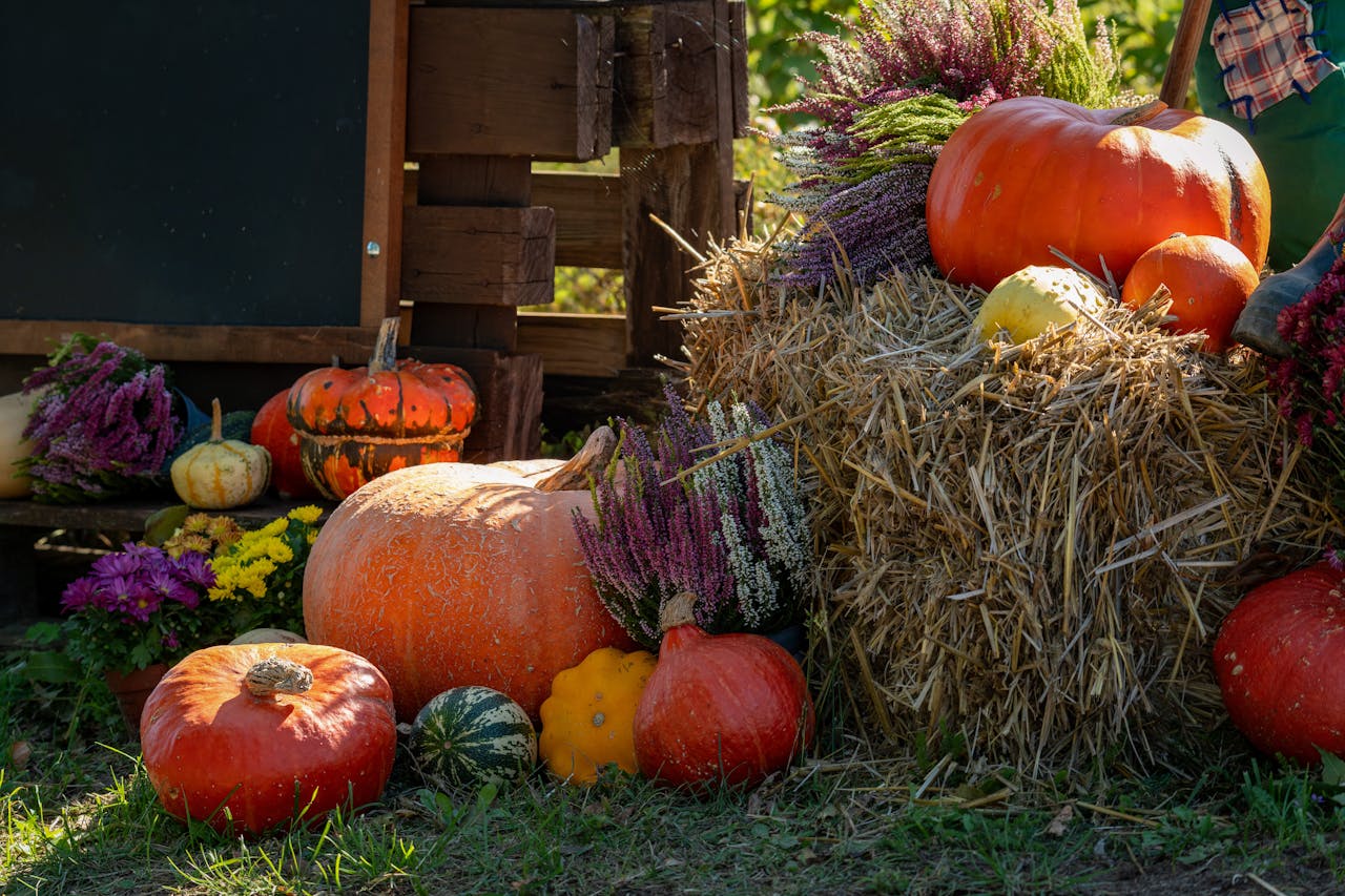 12 Rustic Fall Outdoor Decor Ideas Using Pumpkins, Hay, and Cornstalks