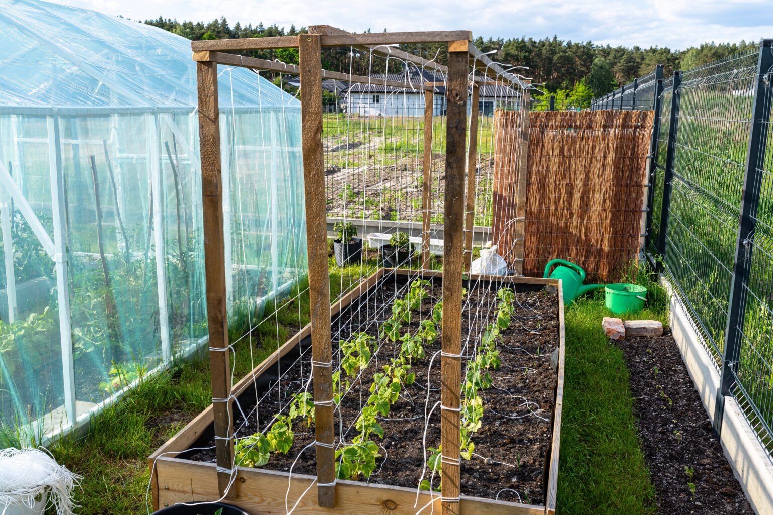 11 Easy Trellis Ideas To Build Before Vines Take Off
