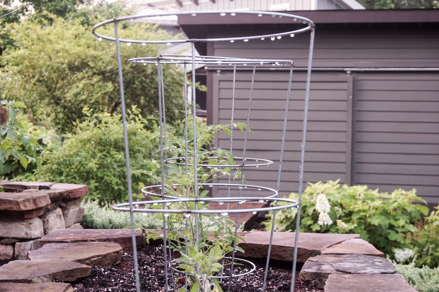 11 Easy Trellis Ideas To Build Before Vines Take Off